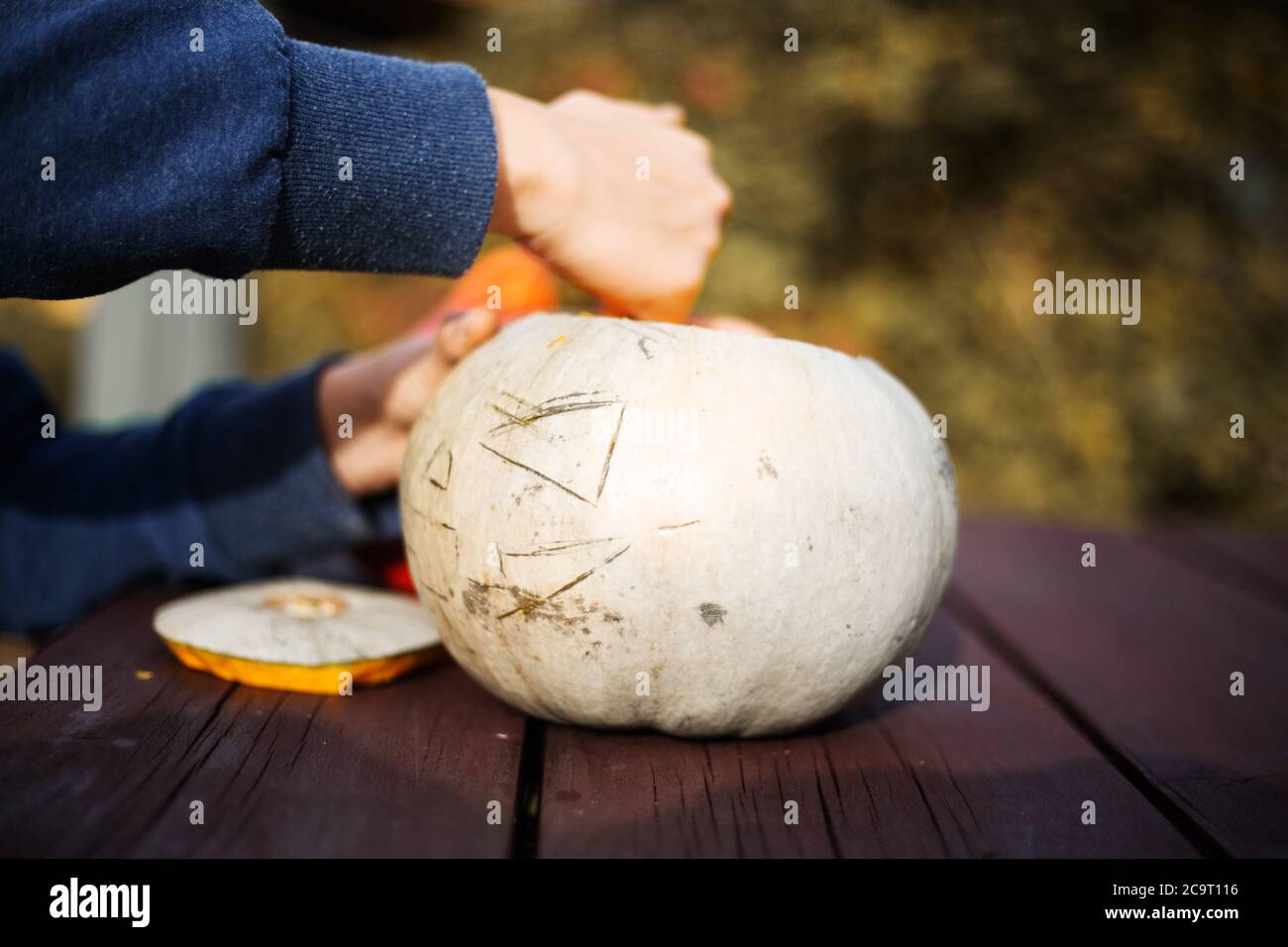 Hollowing out a pumpkin to prepare halloween lantern carving process ...