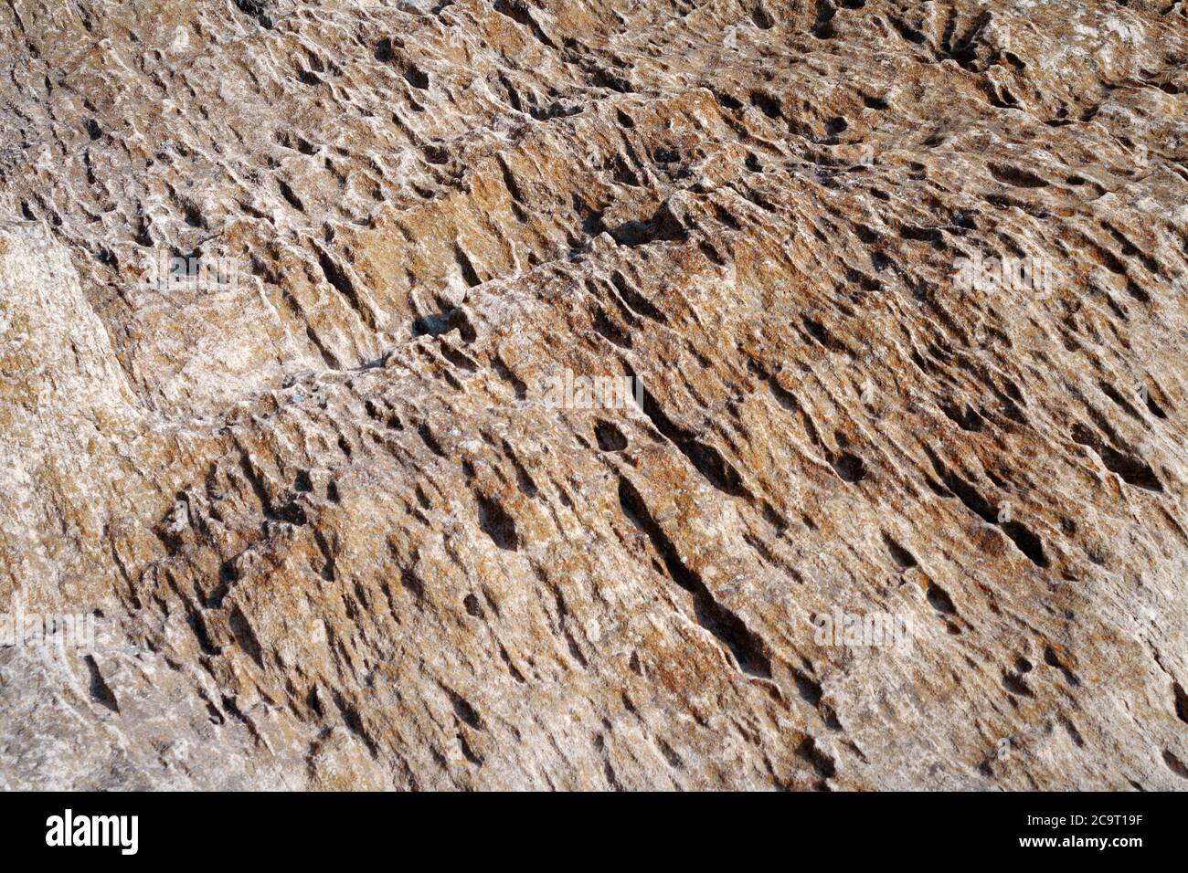 Surface sandy rock. Rocky shore of the Caspian Sea Stock Photo - Alamy