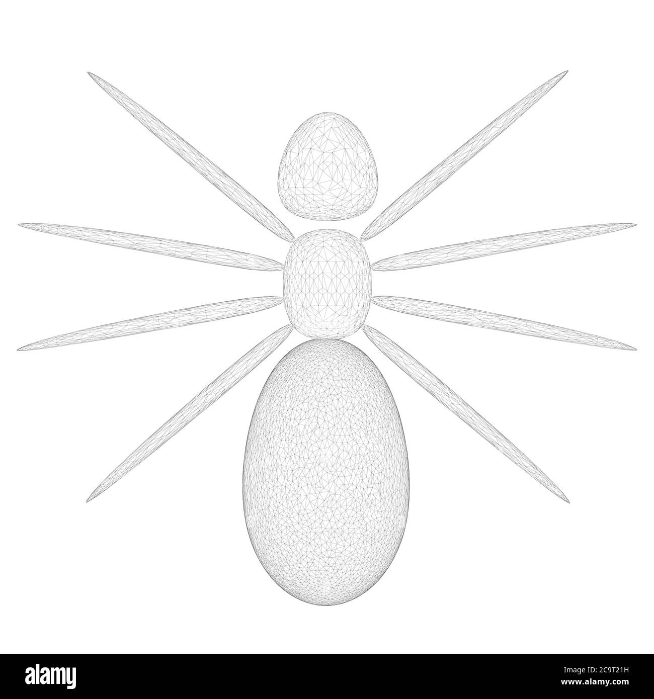 Spider wireframe made of black lines on a white background. View from ...