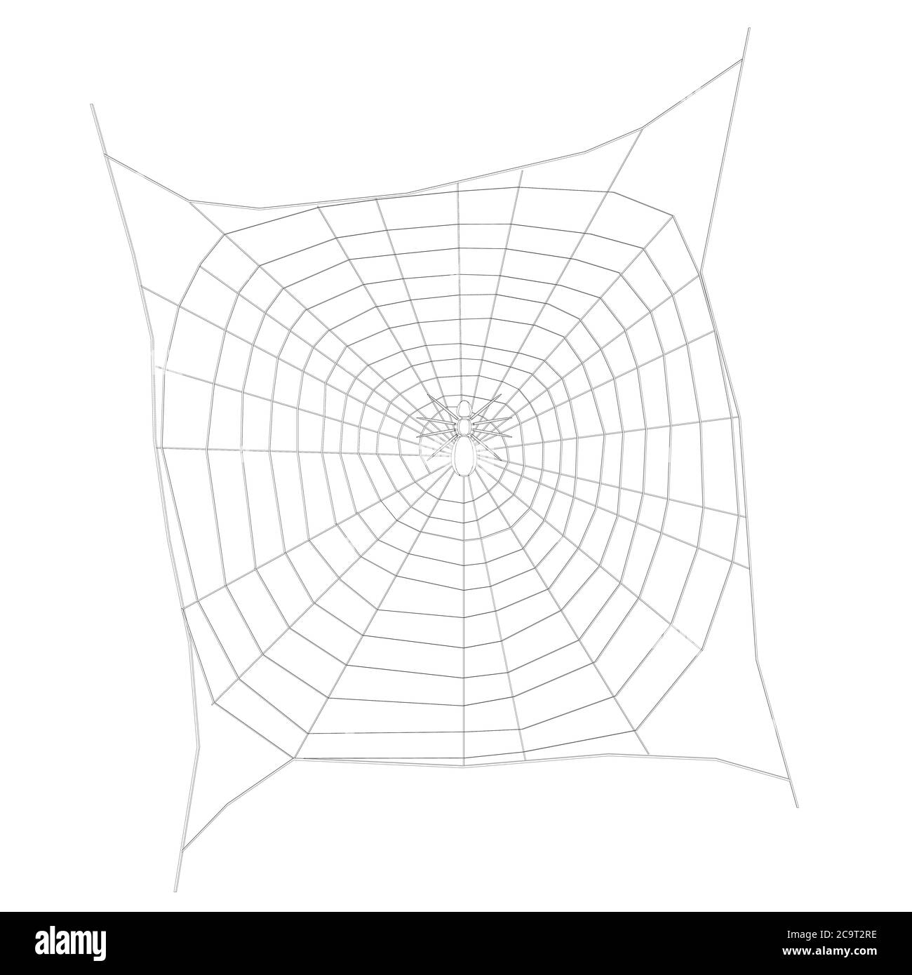 Spider wireframe on a large web. View from above. 3D. Vector ...