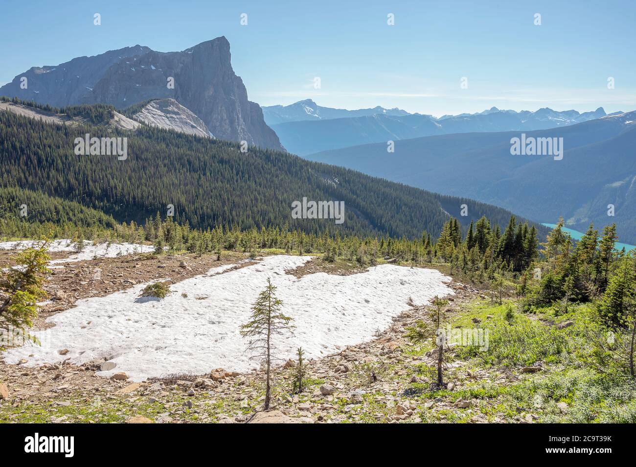 Mount Burgess as seen from Burgess Pass in Yoho National Park, British ...