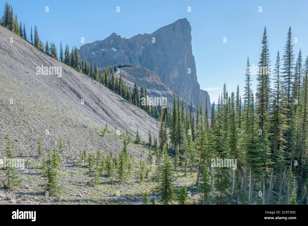 Burgess shale hi-res stock photography and images - Alamy