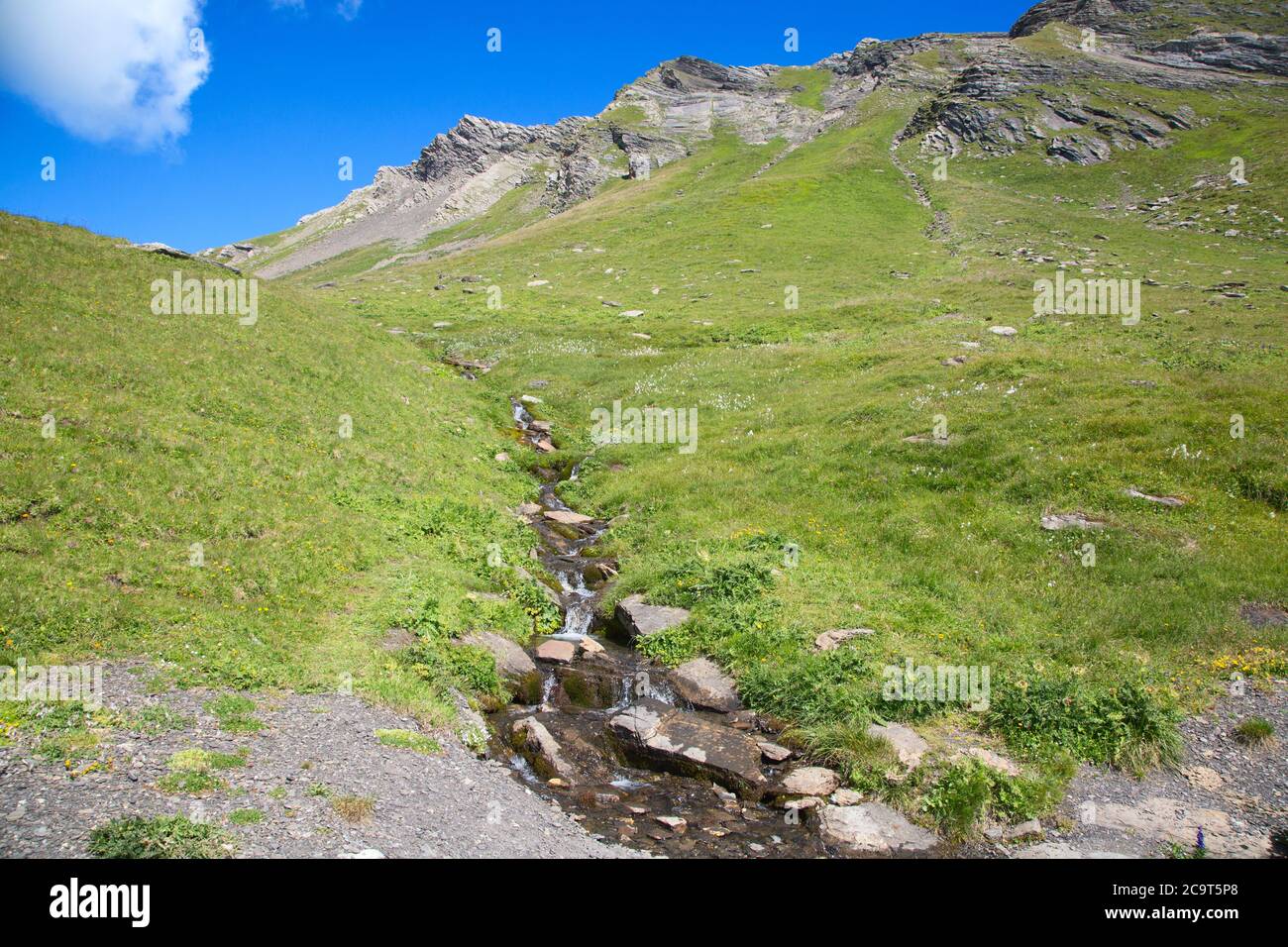 Hiking in the swiss alps: High alpine route above Grindelwald (Jungfrau ...