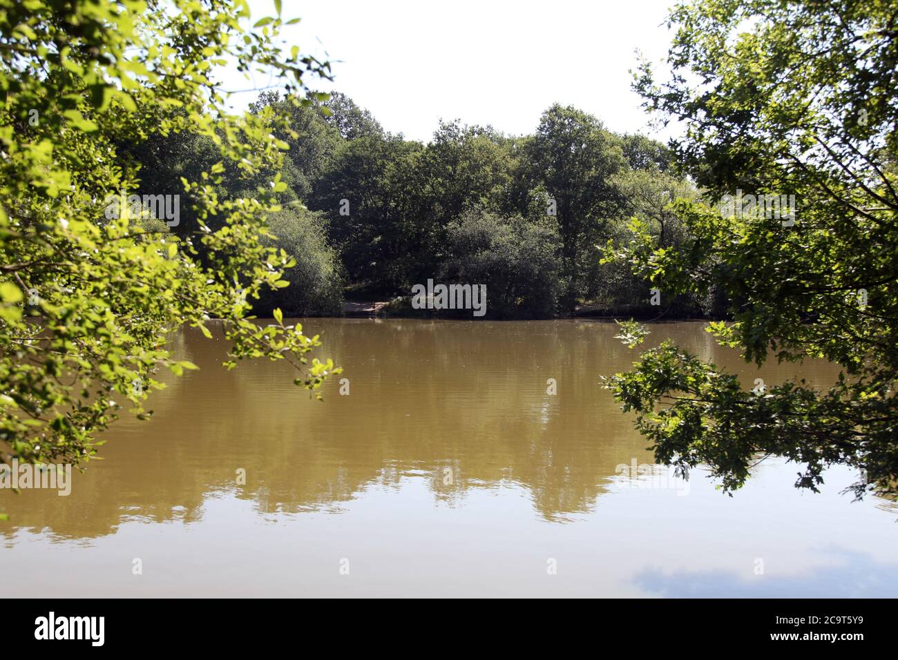 Stew pond hi-res stock photography and images - Alamy