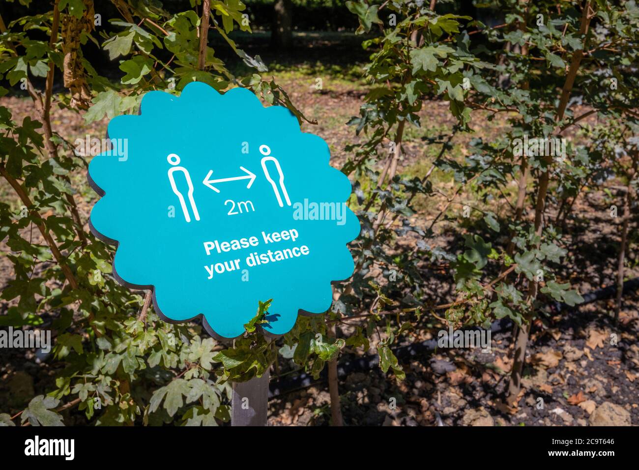 Blue 2m social distancing reminder sign for visitors to Wakehurst ...
