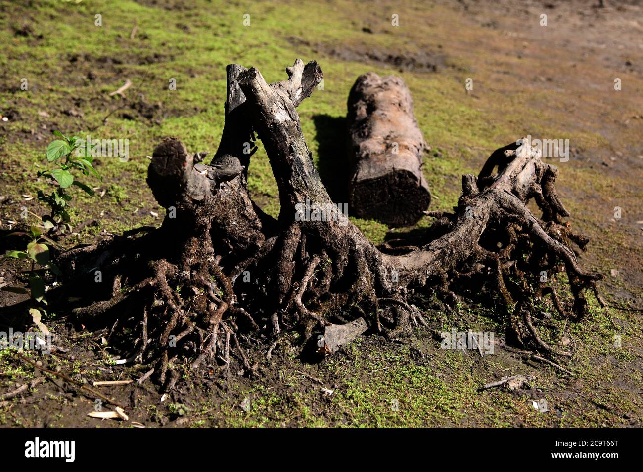 Urban sssi hi-res stock photography and images - Alamy