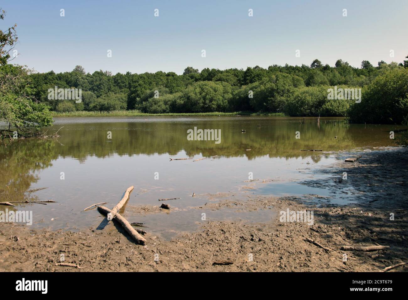 Stew pond hi-res stock photography and images - Alamy