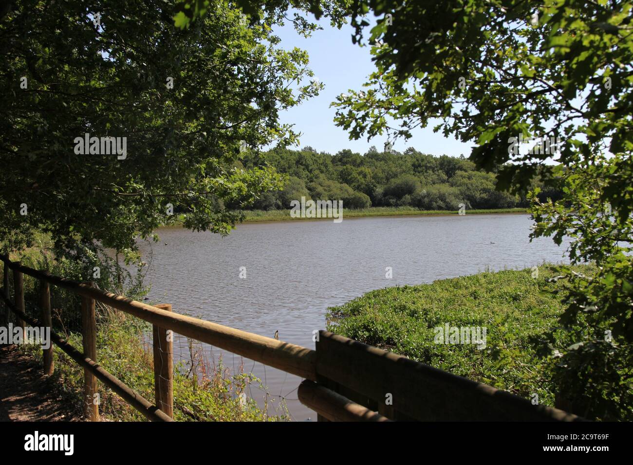 Ewell river hi-res stock photography and images - Alamy