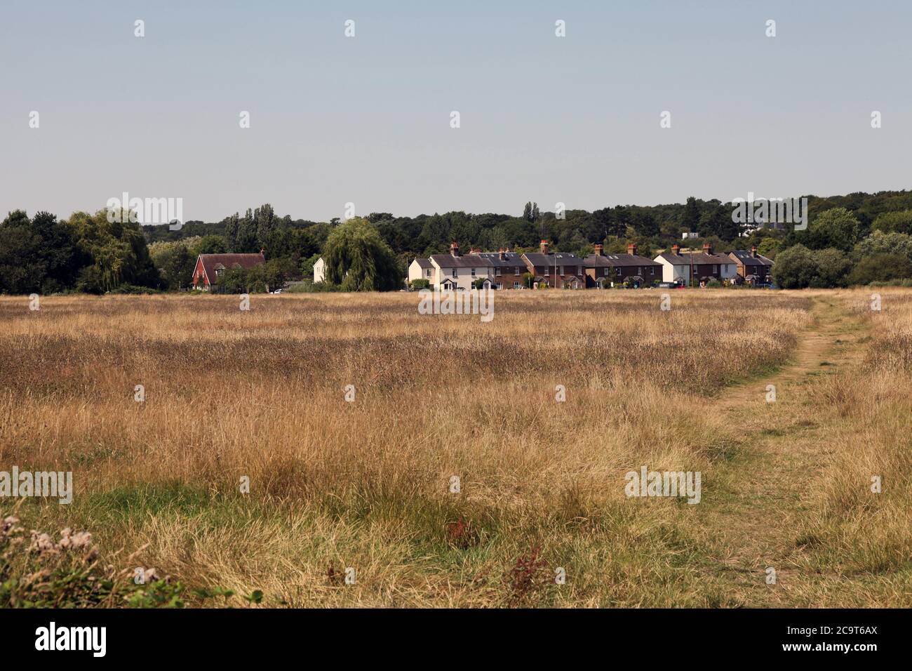 Ashtead common field hi-res stock photography and images - Alamy