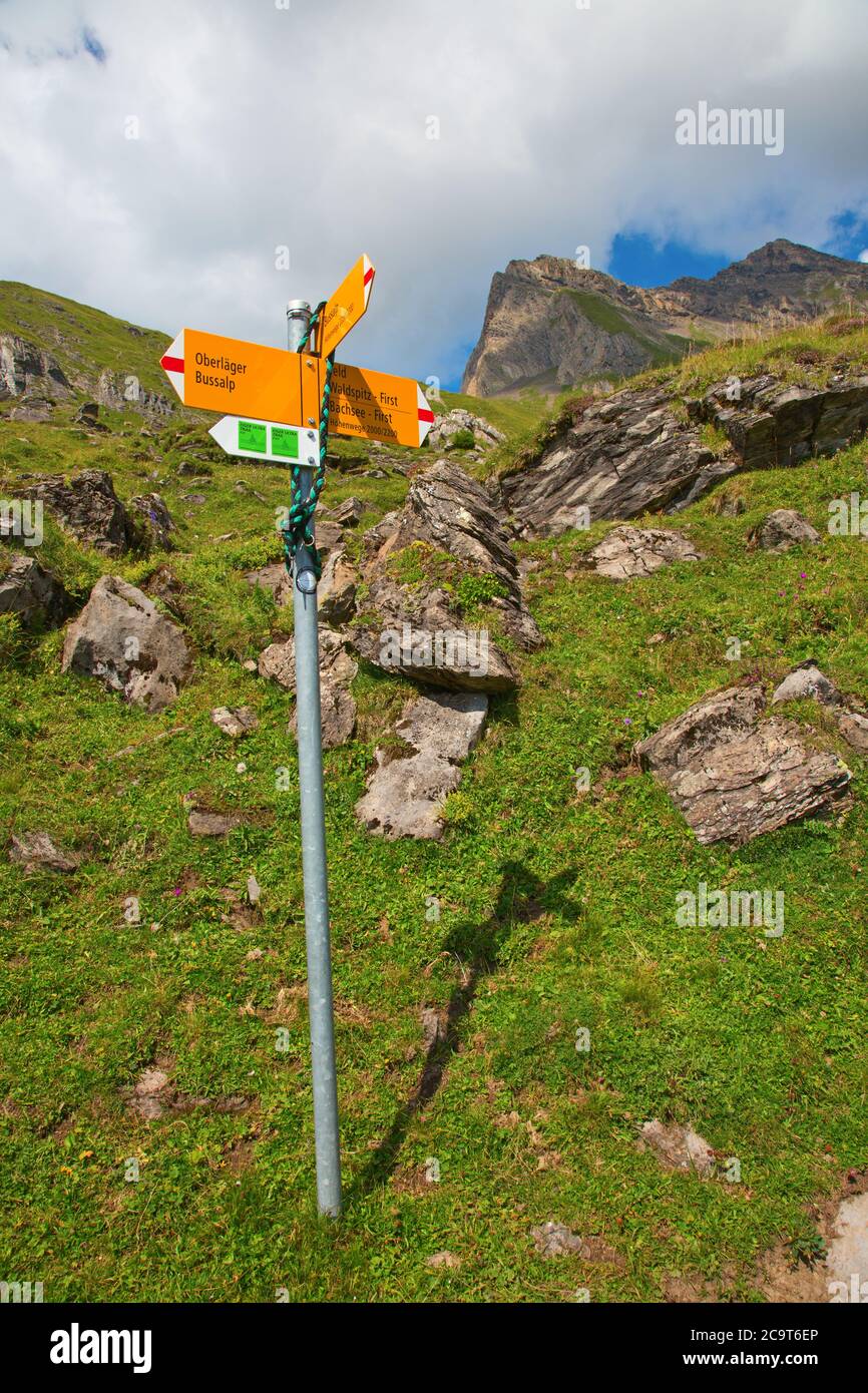 Hiking in the swiss alps: High alpine route above Grindelwald (Jungfrau ...