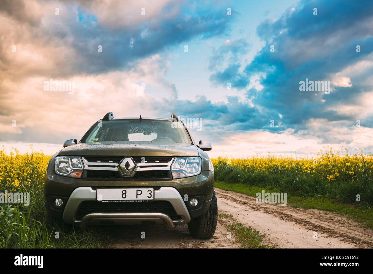 Car Renault Duster Or Dacia Duster Suv In Summer Rapeseed Field ...