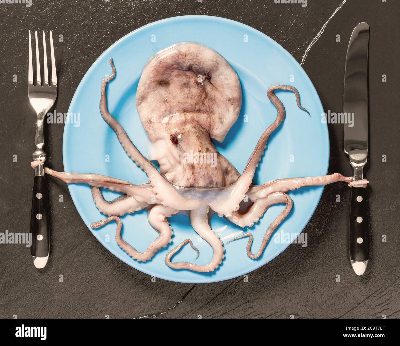 Octopus on blue plate holds cutlery, on black slate Stock Photo - Alamy
