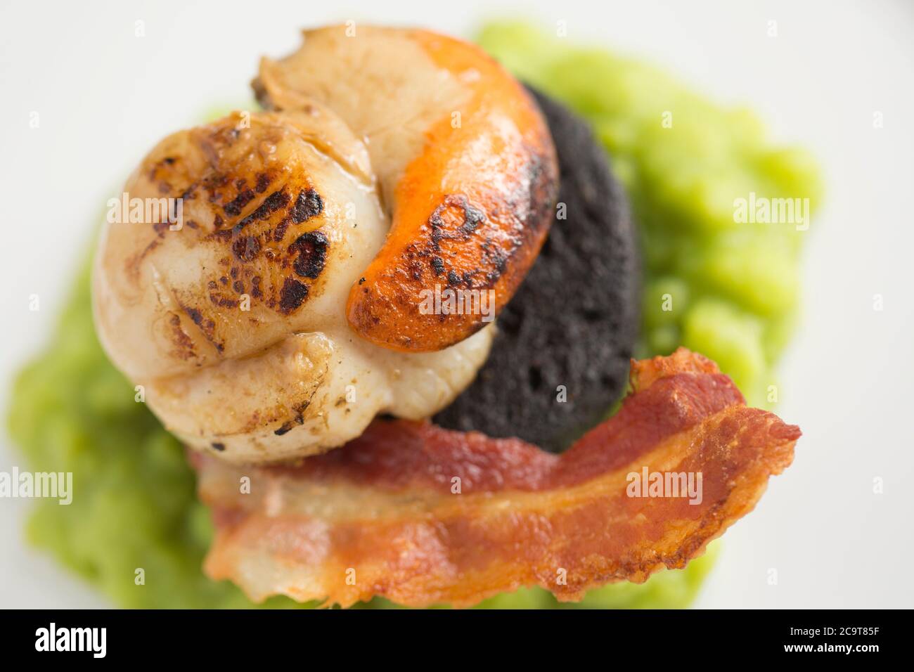 Single scallop black pudding hi-res stock photography and images - Alamy