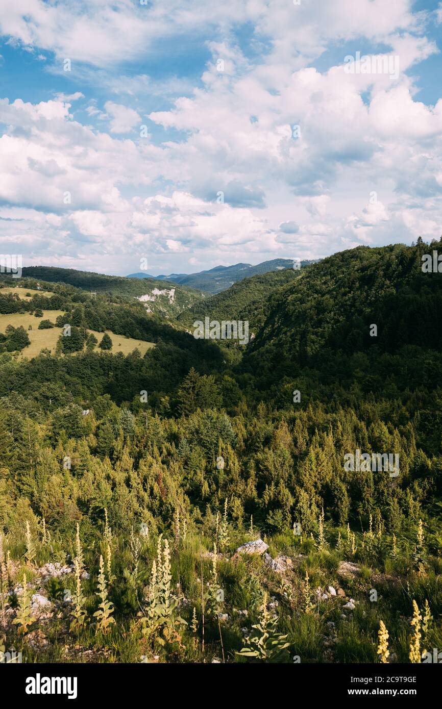 View of a beautiful landscape of Zlatibor mountain range in Serbia ...