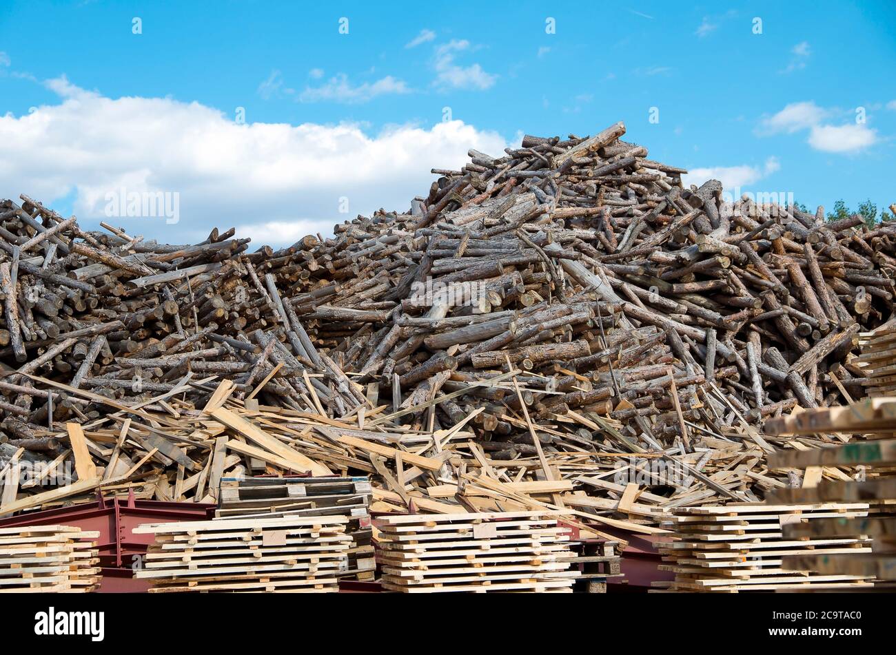 Sawmill in the woods hi-res stock photography and images - Alamy