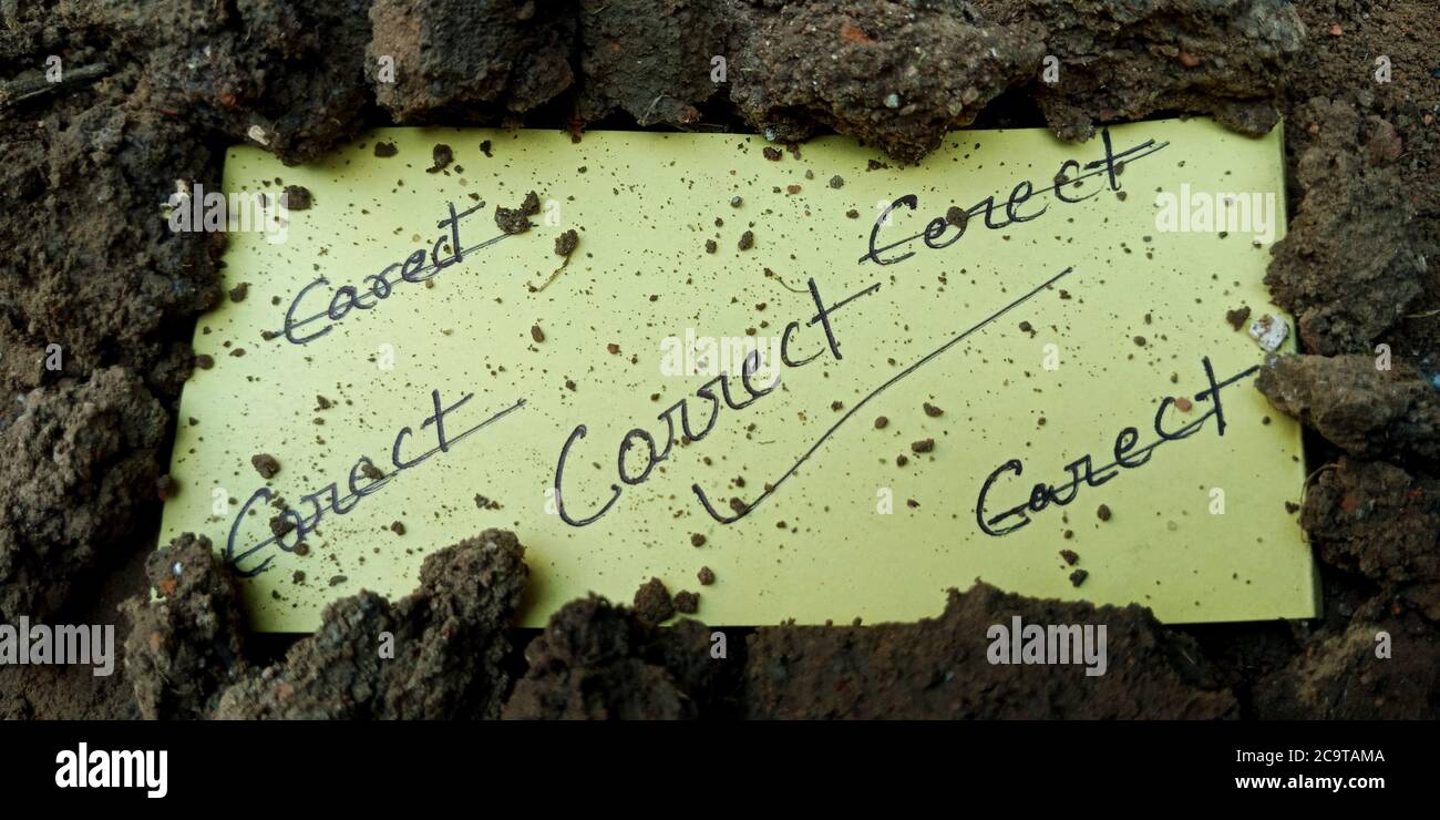 Correct word multiple error displaying on paper slip with black soil ...