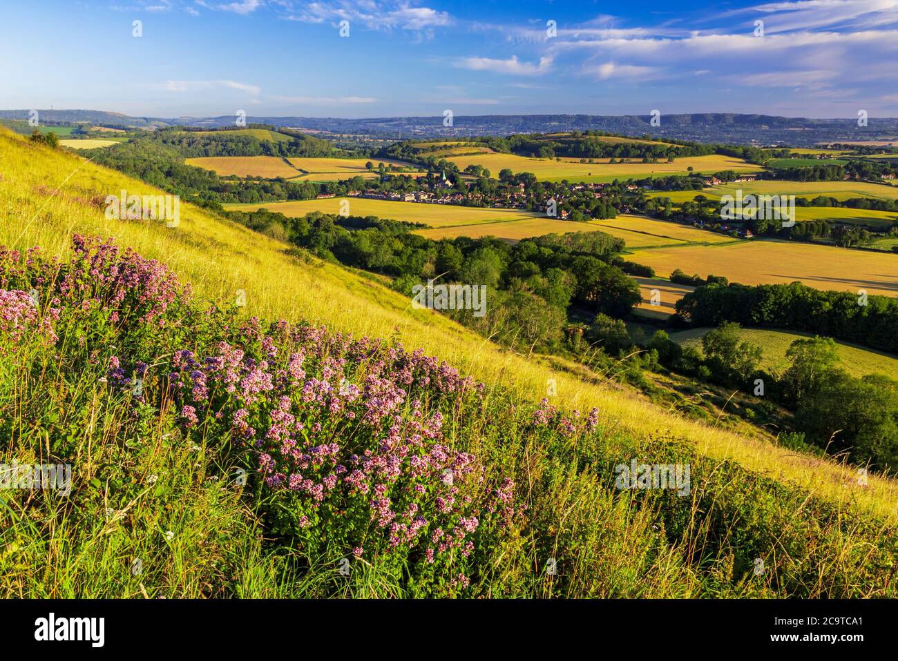 Bright sunny july morning on the south downs in west hi-res stock ...