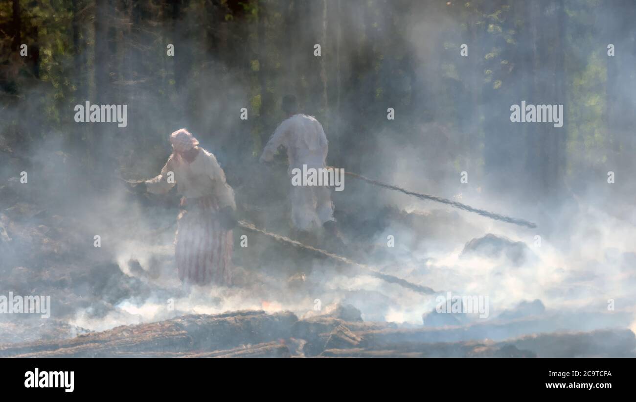 Finland Deforestation High Resolution Stock Photography and Images - Alamy