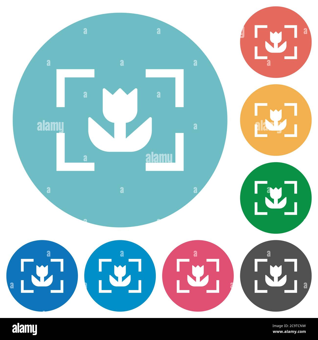 Camera macro mode flat white icons on round color backgrounds Stock ...