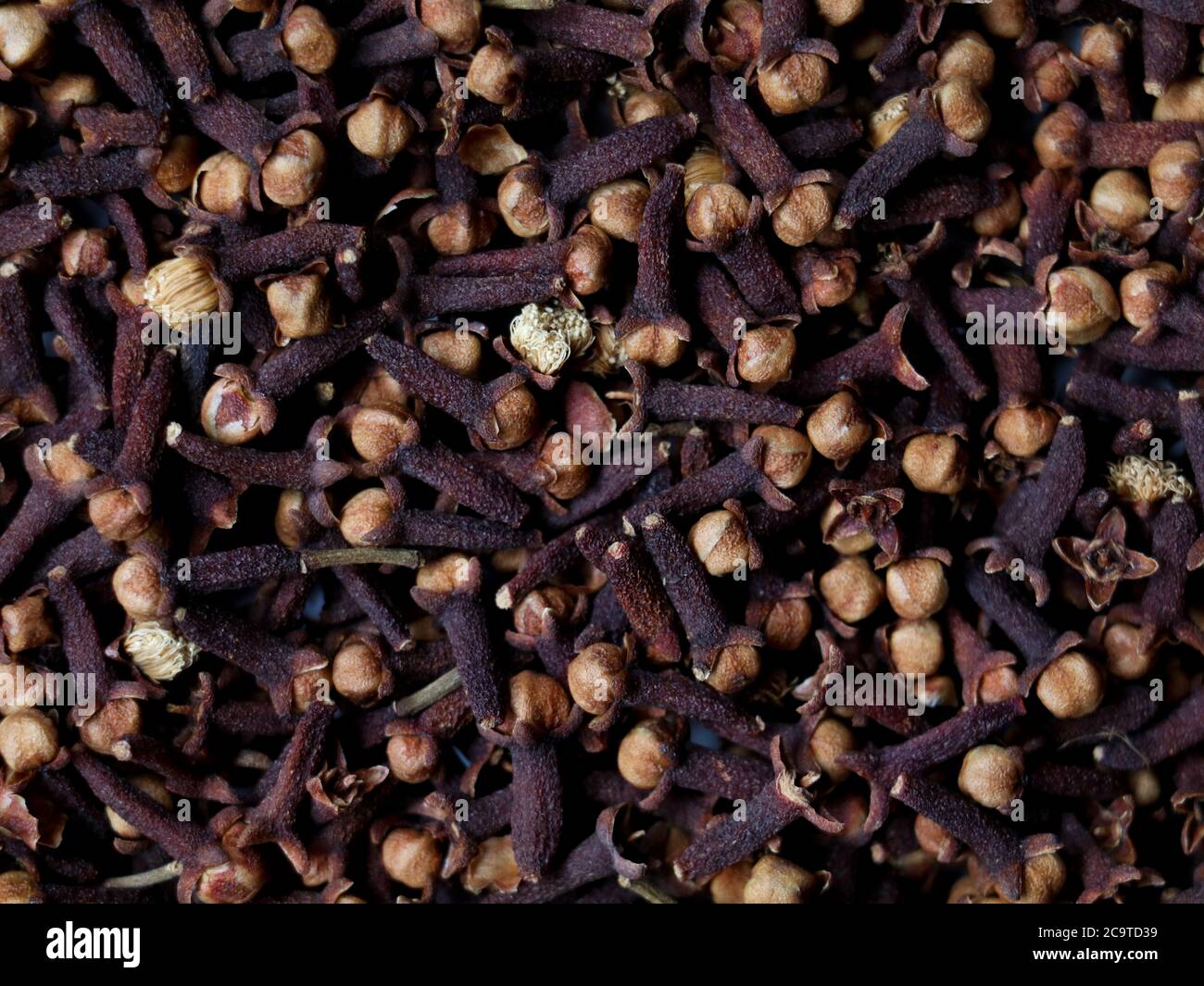 Brown color dried cloves spread as texture Stock Photo - Alamy