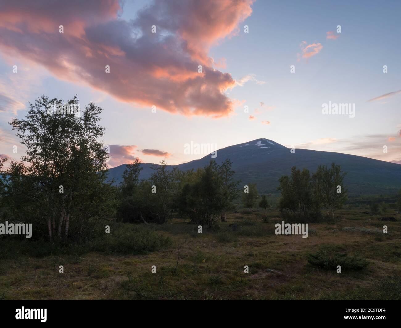 Beautiful wild Lapland nature landscape with birch tree forest and ...