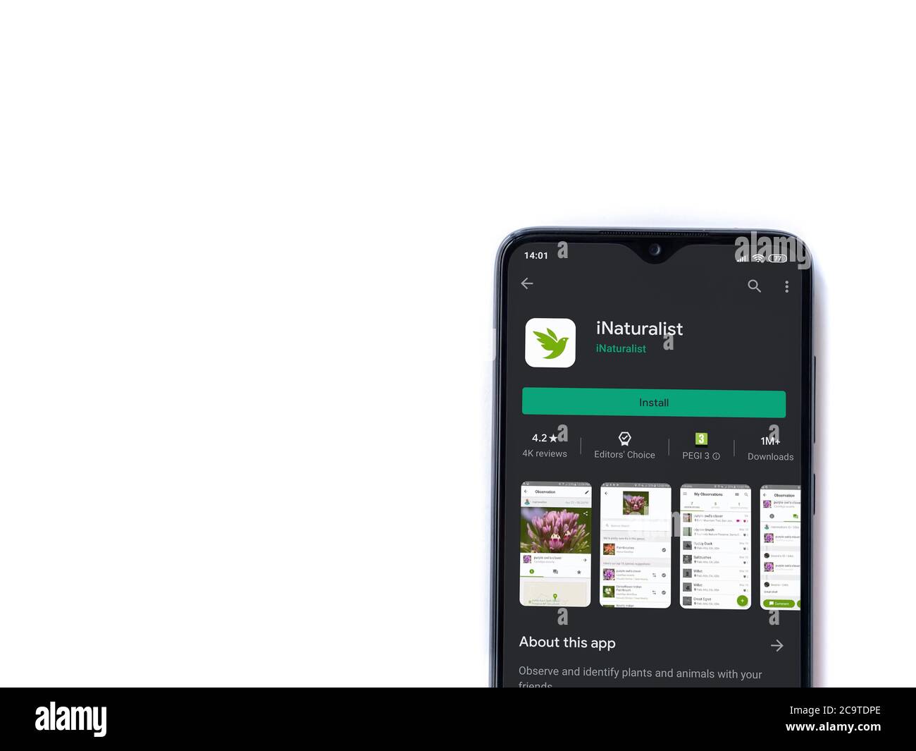Lod, Israel - July 8, 2020: iNaturalist app play store page on the ...