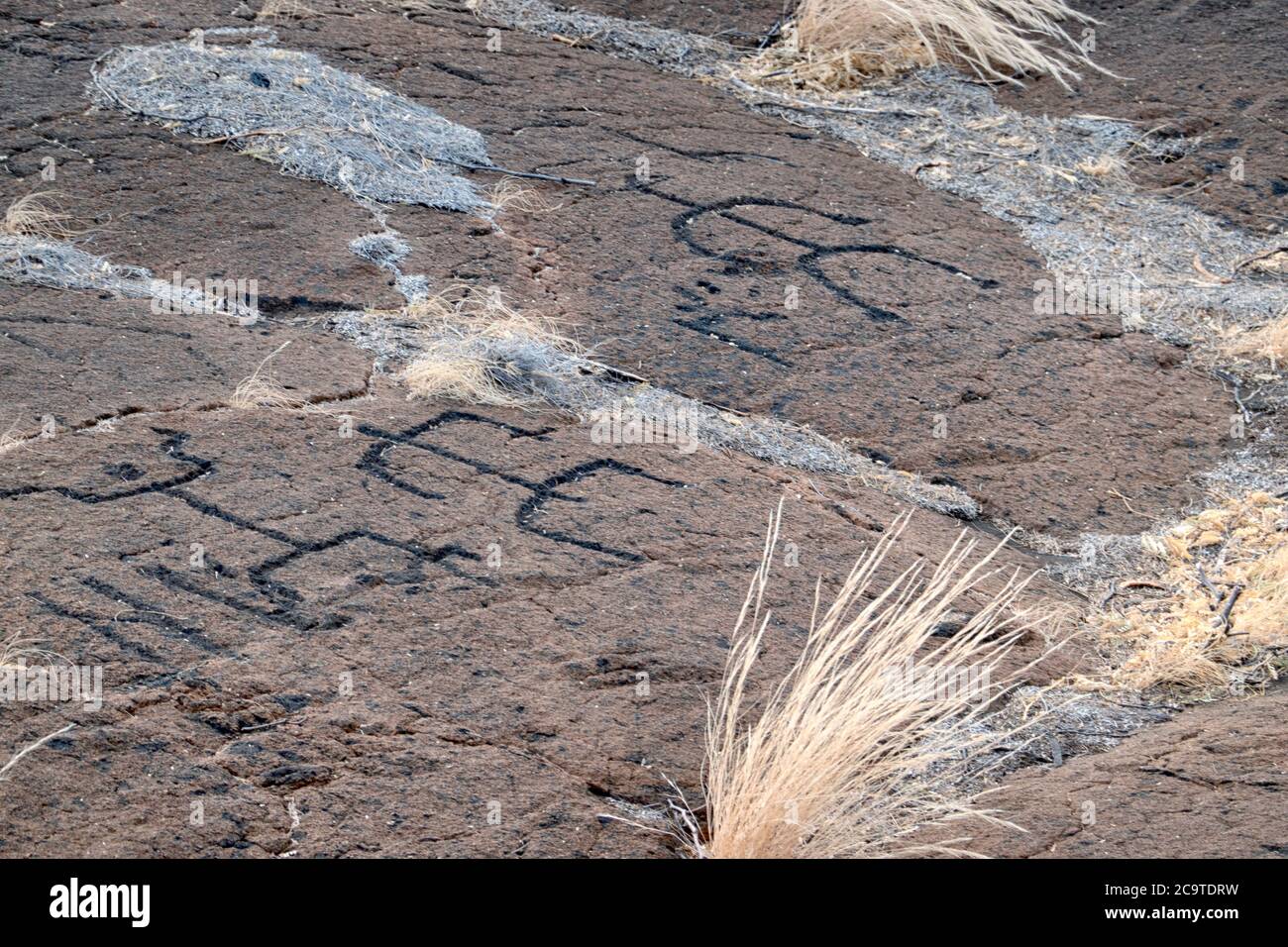 Petroglyphs at Puako Petroglyph Archacological District. Malama Trail ...