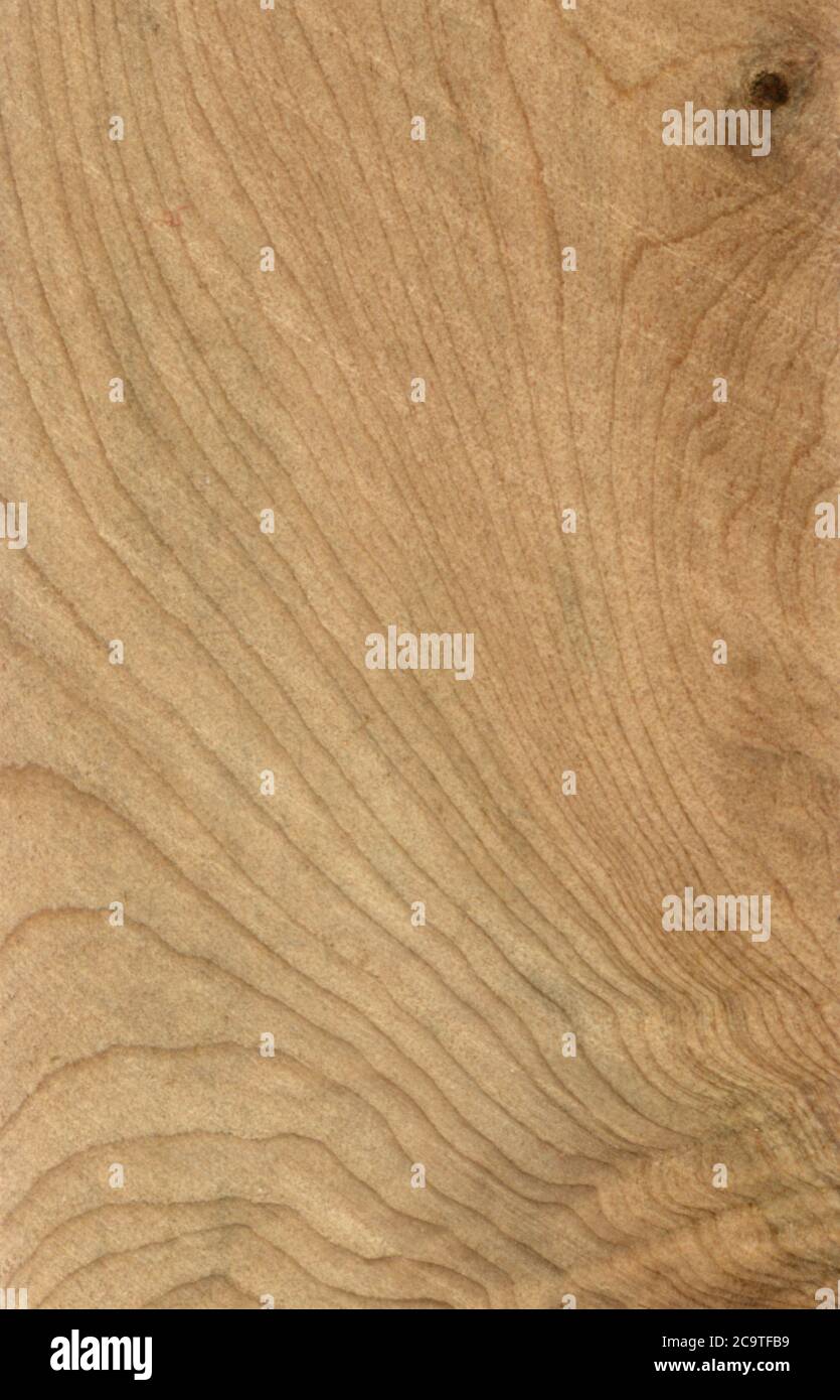 juniper Wood tree pattern samples natural rural timber Stock Photo - Alamy