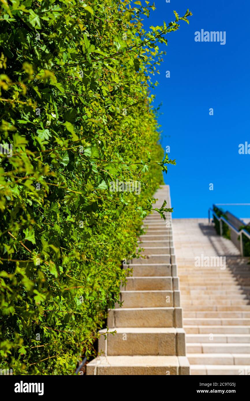 Green bush and white stairs against the sky. Summer park Stock Photo ...