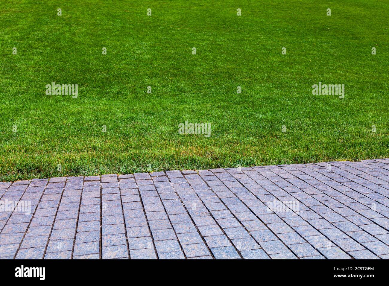 Stone walkway and green lawn in the park. Summer background Stock Photo ...
