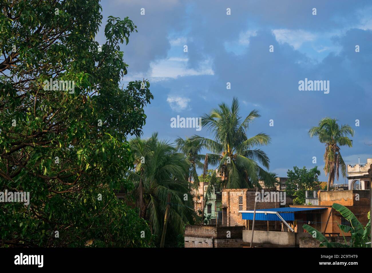 A shiny morning in bright sunlight with clear blue sky a beautiful look ...