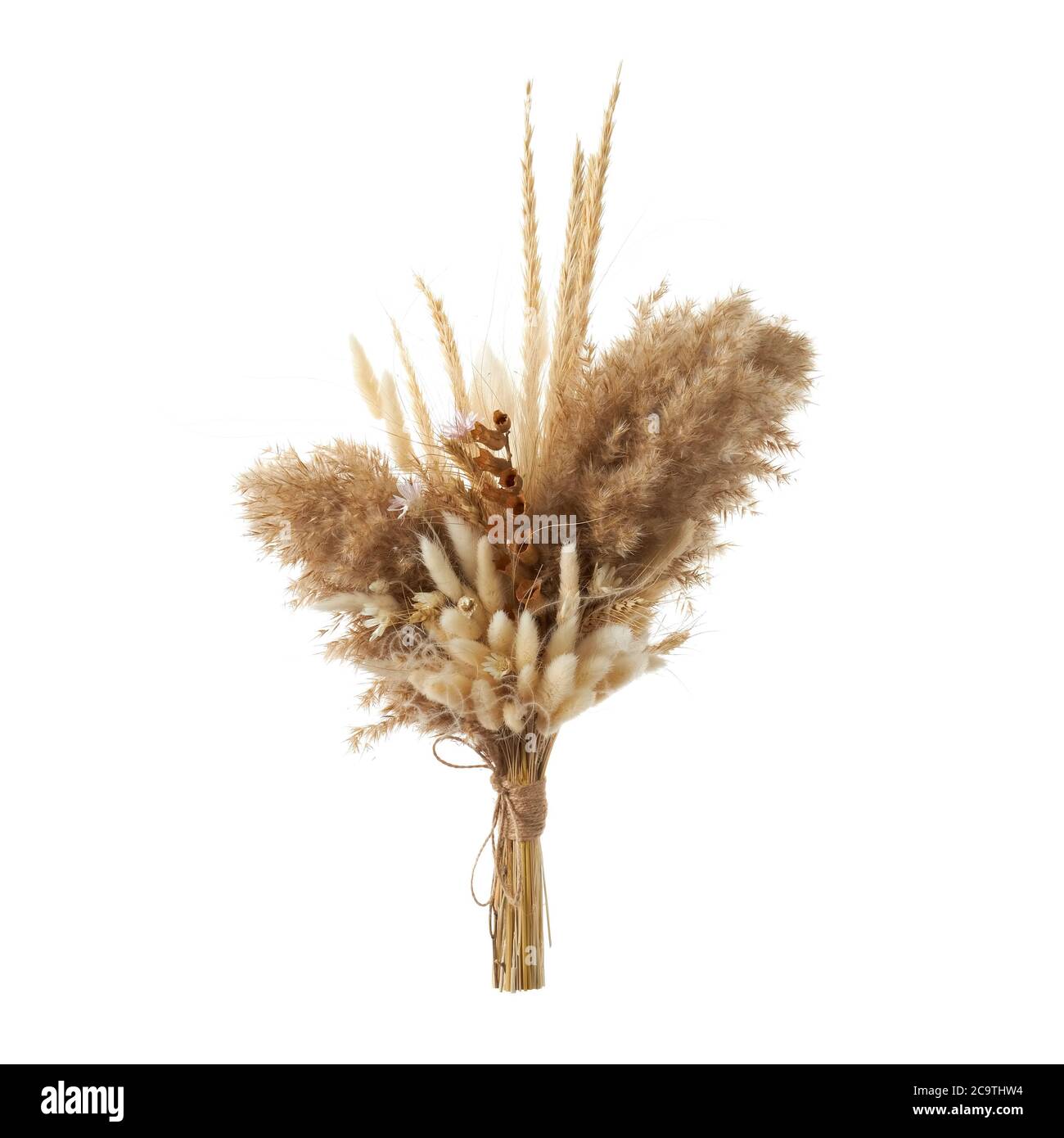 Field white flowers fall on Cut Out Stock Images & Pictures - Alamy