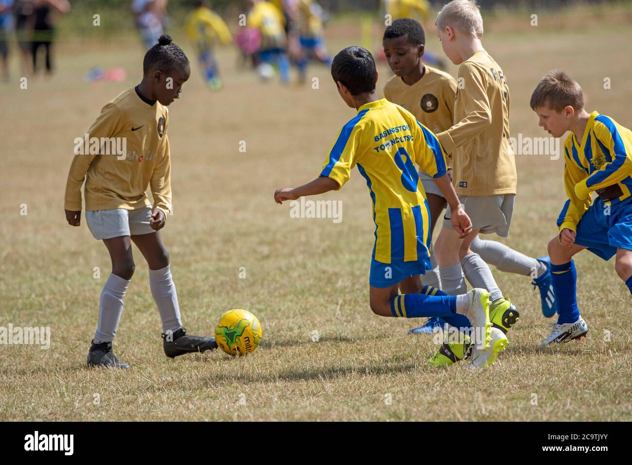 Rafc High Resolution Stock Photography and Images - Alamy