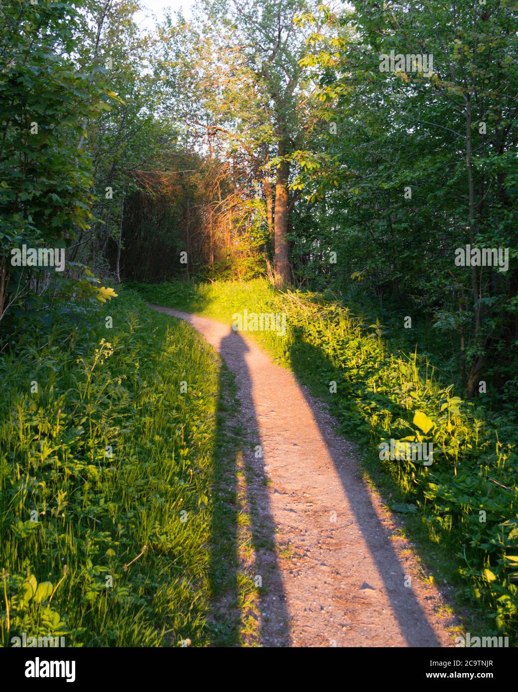 Long shadows cast two people hi-res stock photography and images - Alamy