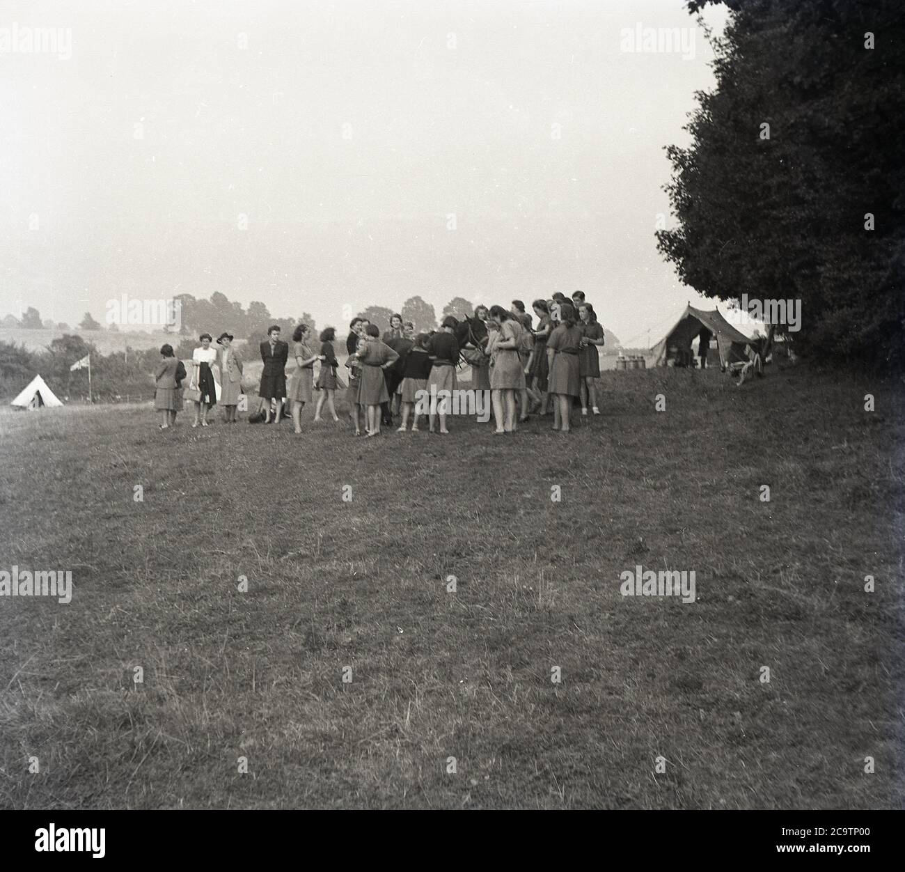 Camp black horse hi-res stock photography and images - Alamy