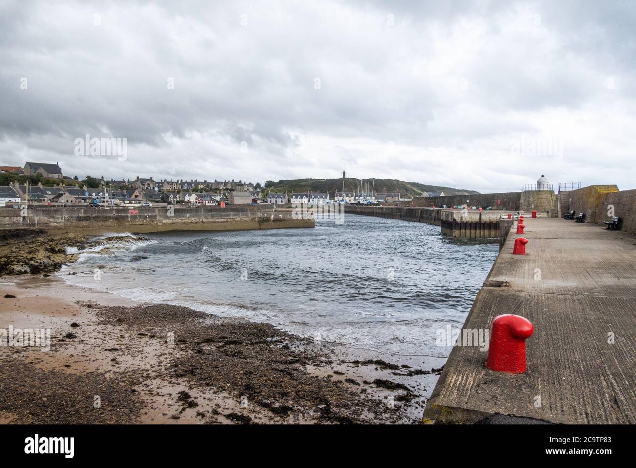 Landing landings herring white whitefish port expansion fleet pleasure ...