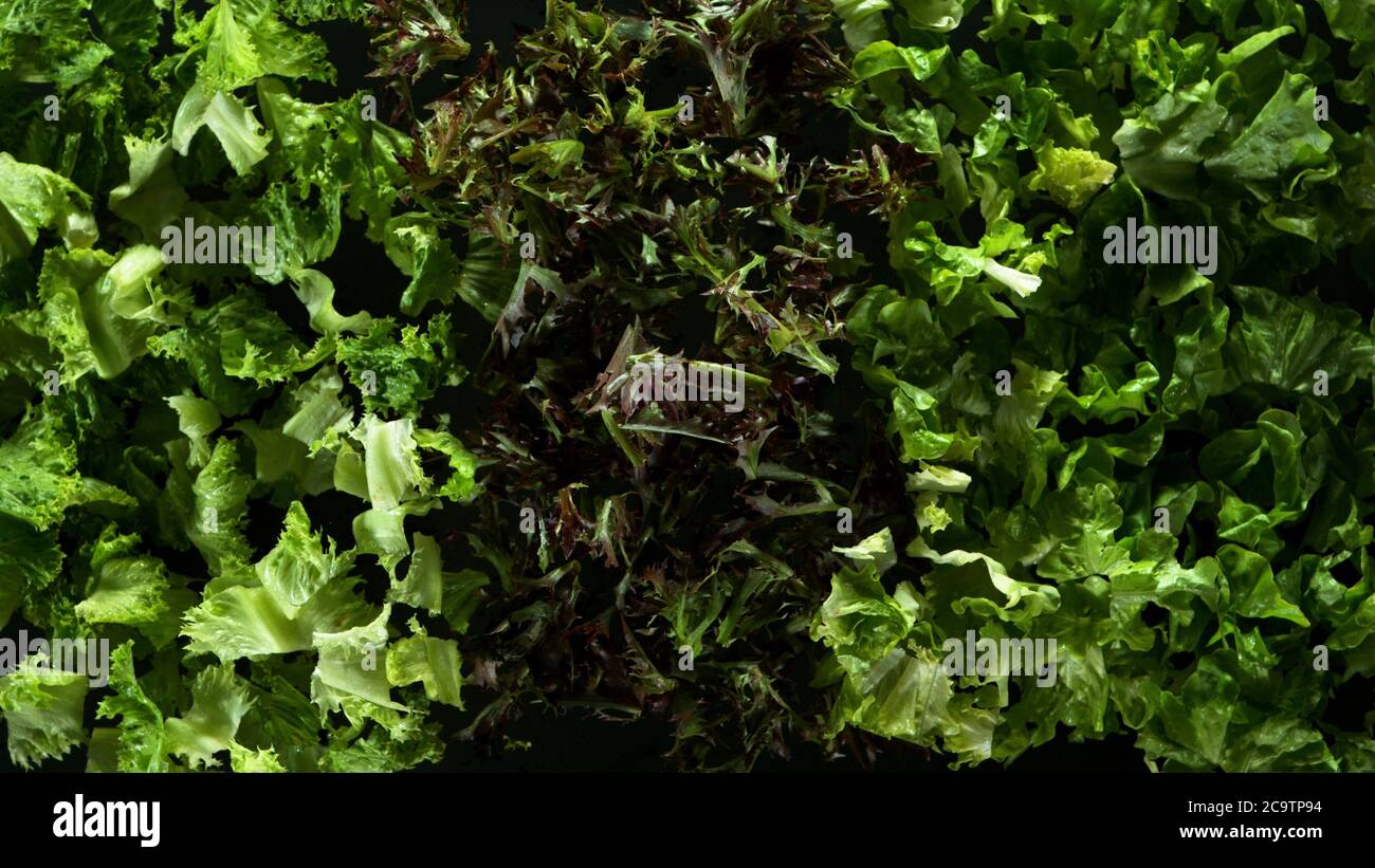Freeze motion of flying fresh lettuce mix, isolated on black background ...