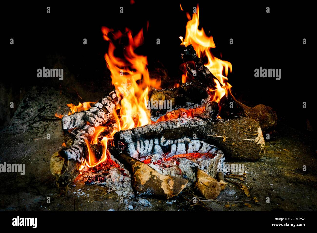 Flames in different forms of a bonfire made with orange tree trunks ...