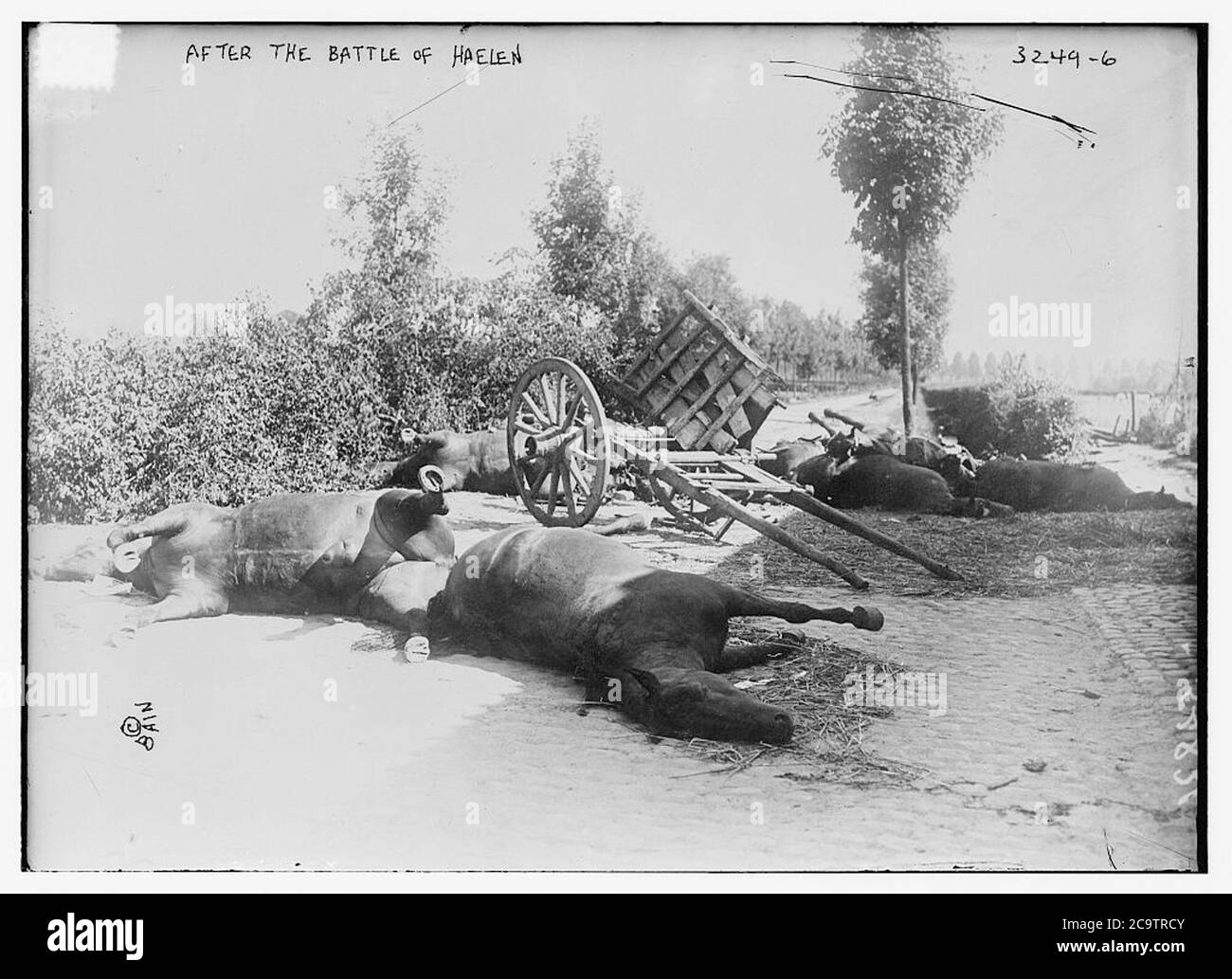 Battle Of Haelen High Resolution Stock Photography and Images - Alamy