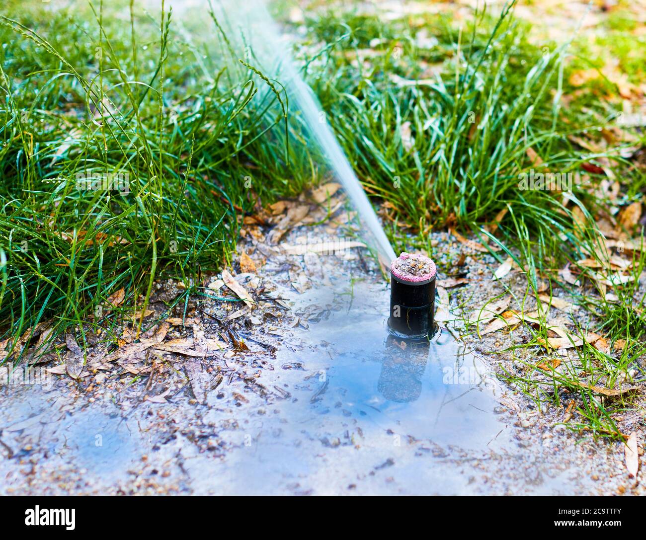 Reclaimed water for irrigation hi-res stock photography and images - Alamy