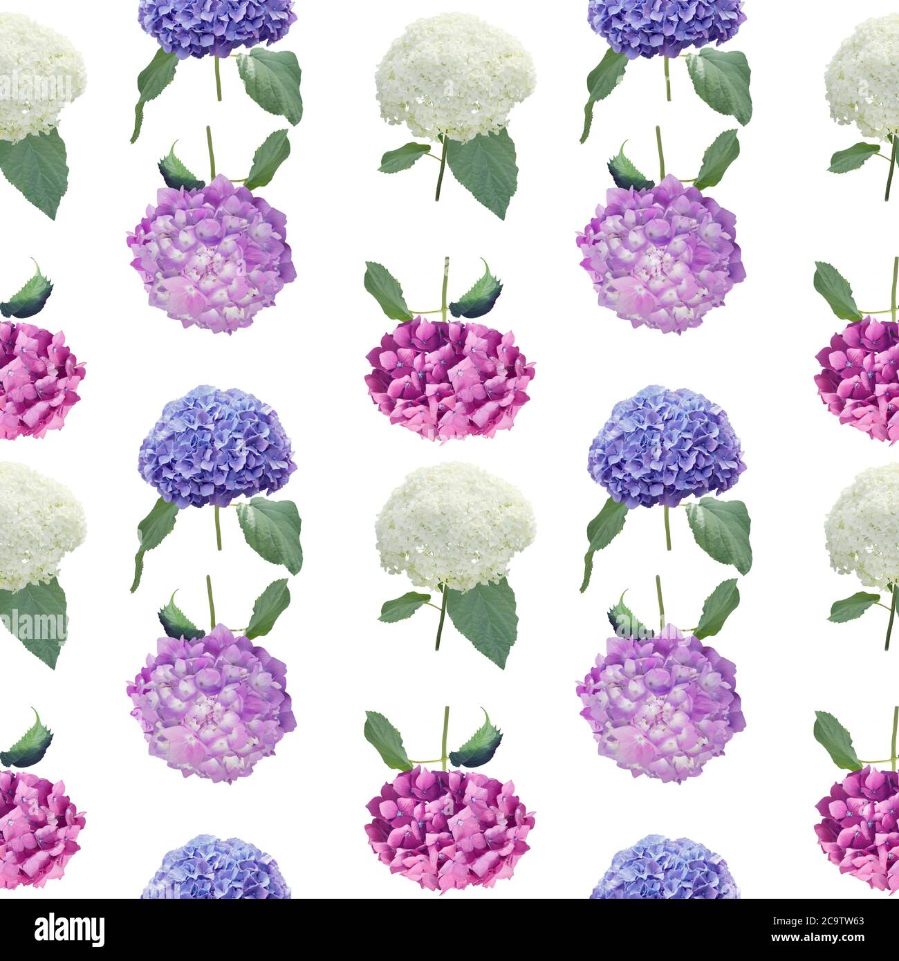 Seamless floral design with hydrangea flowers for background, Endless ...