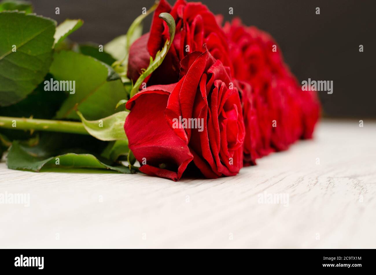 Side view of a bouquet of red roses, close-up, white background Stock ...