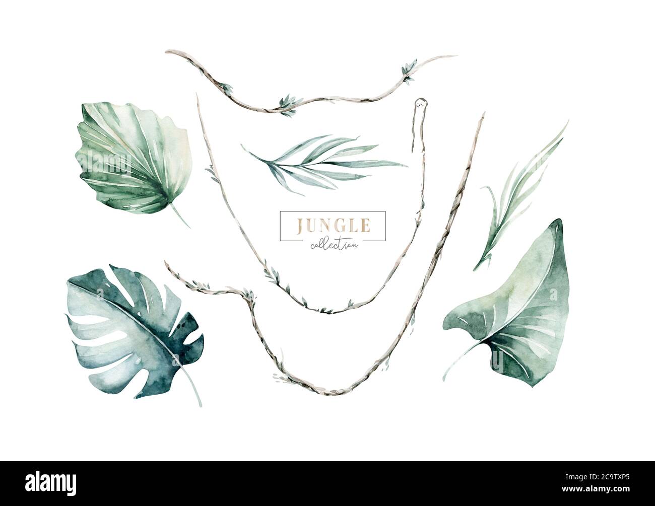 Monstera wallpaper painted Cut Out Stock Images & Pictures - Alamy