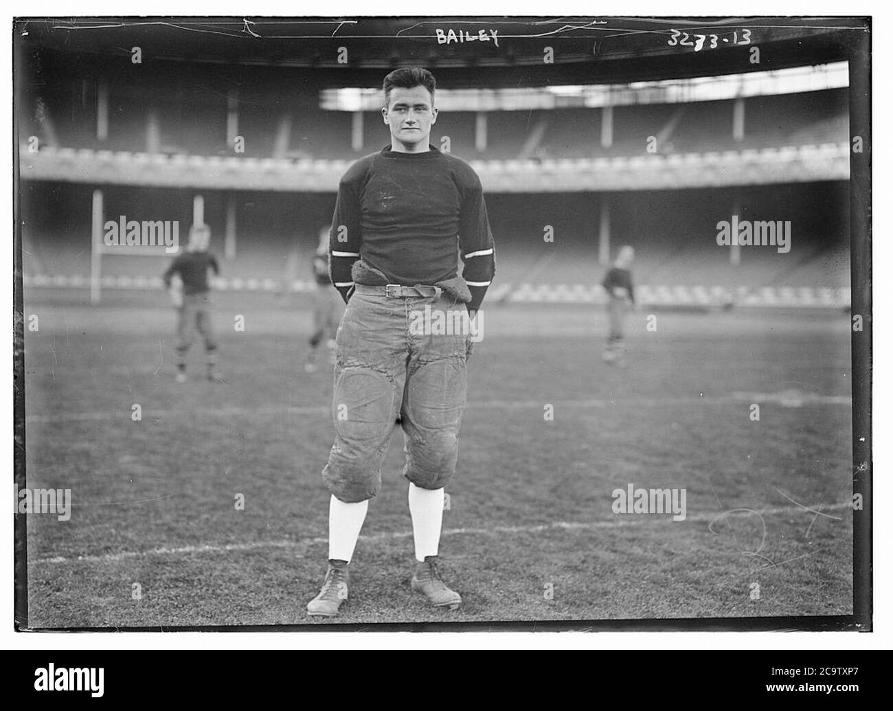 Bailey brown where Cut Out Stock Images & Pictures - Alamy