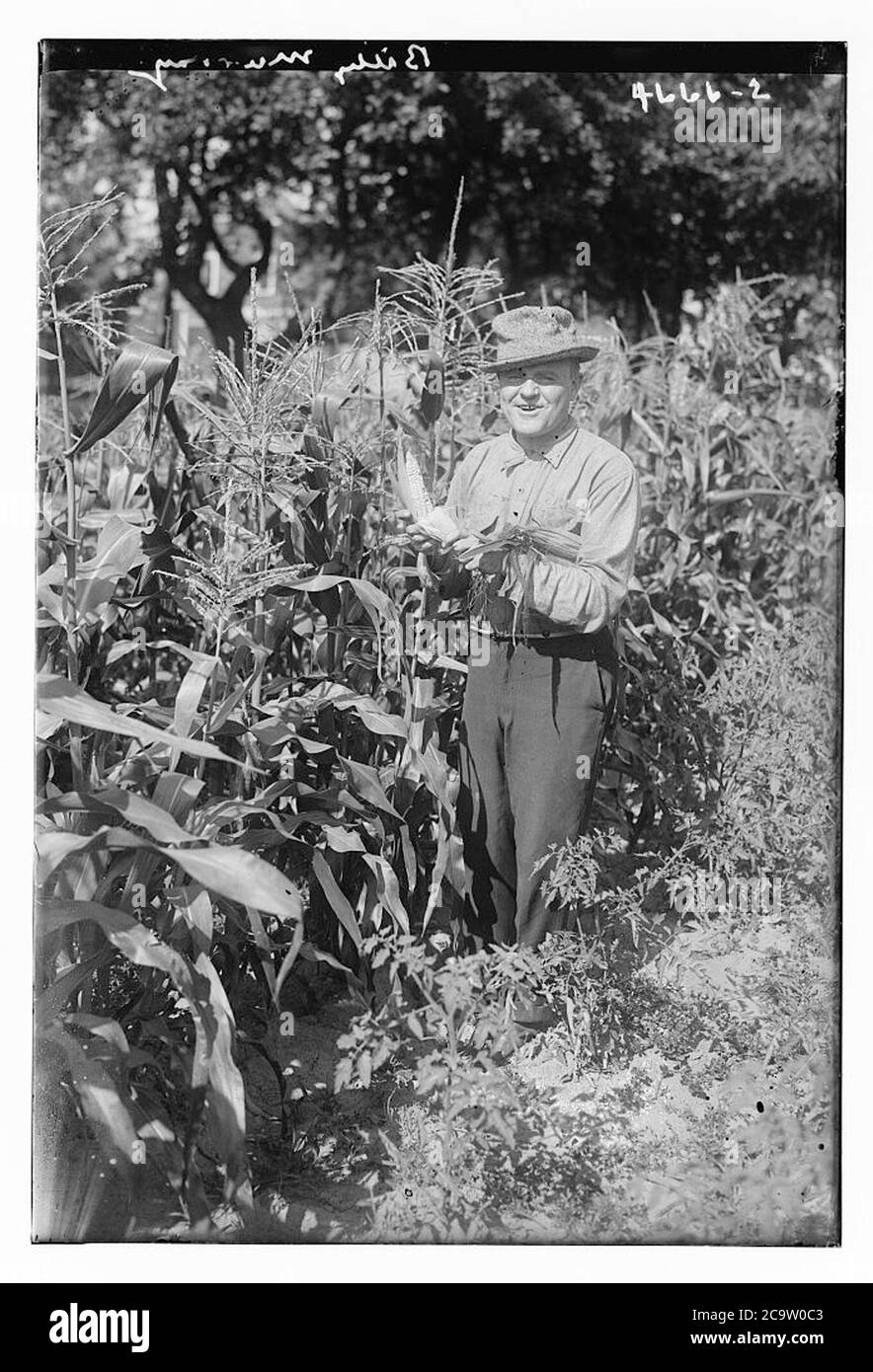 Billy murray hi-res stock photography and images - Alamy