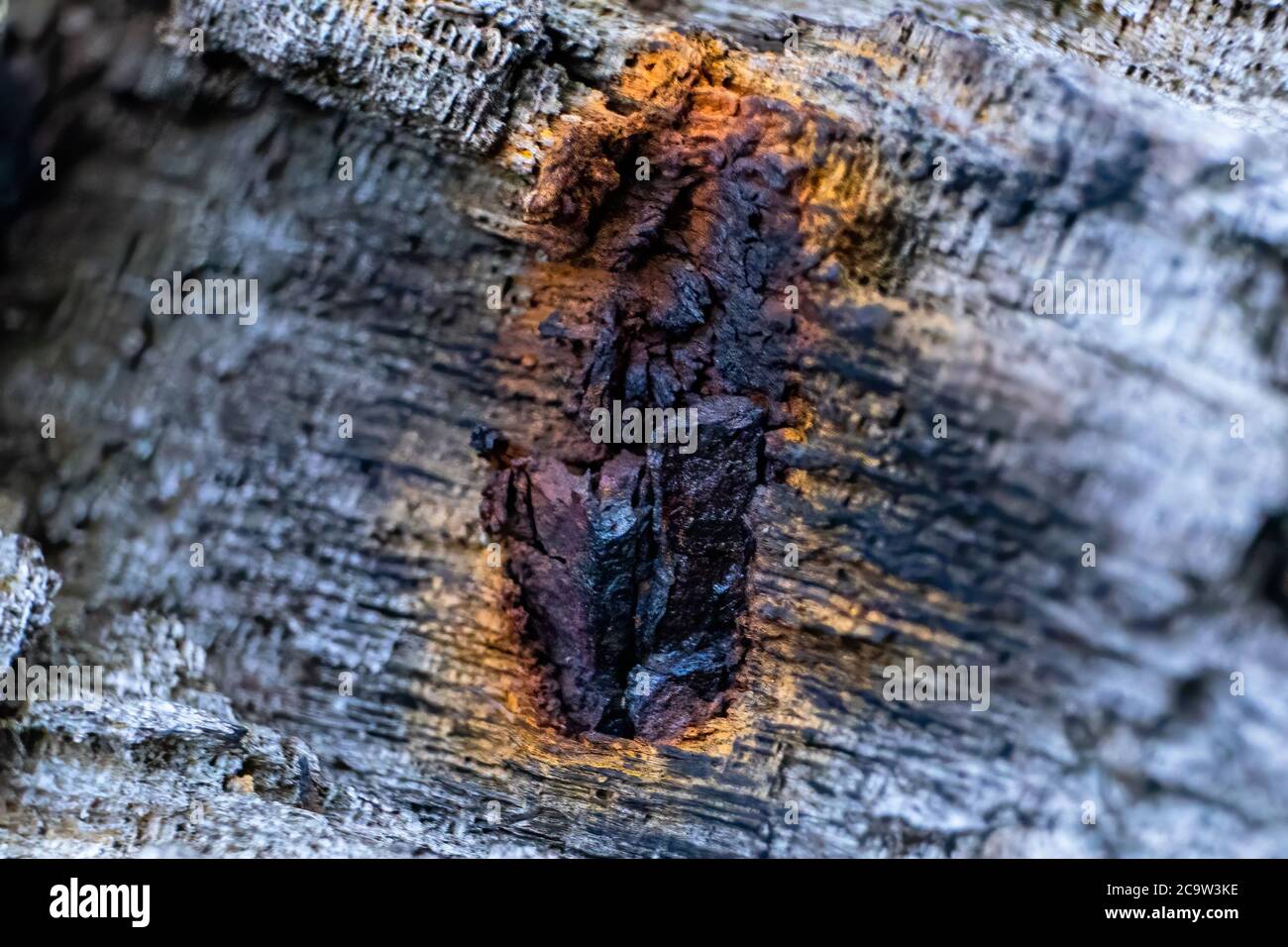 Rusting fixings hi-res stock photography and images - Alamy