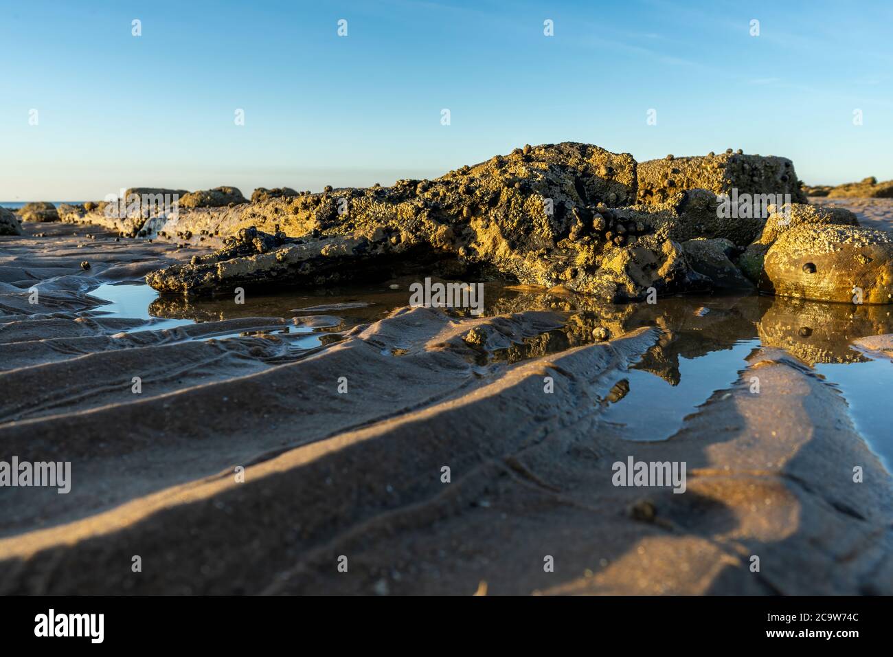 Puddles in the sand hi-res stock photography and images - Alamy