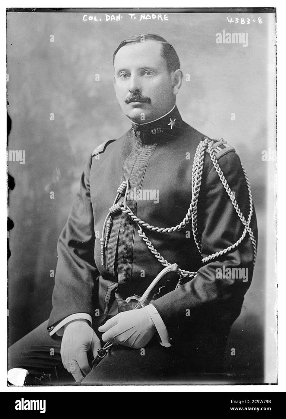 Border col Cut Out Stock Images & Pictures - Alamy