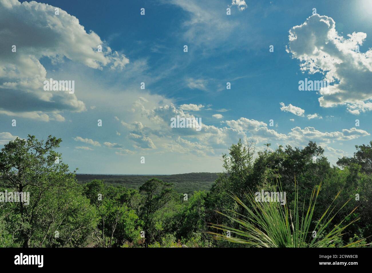 Overlook of woodland scenery hi-res stock photography and images - Alamy