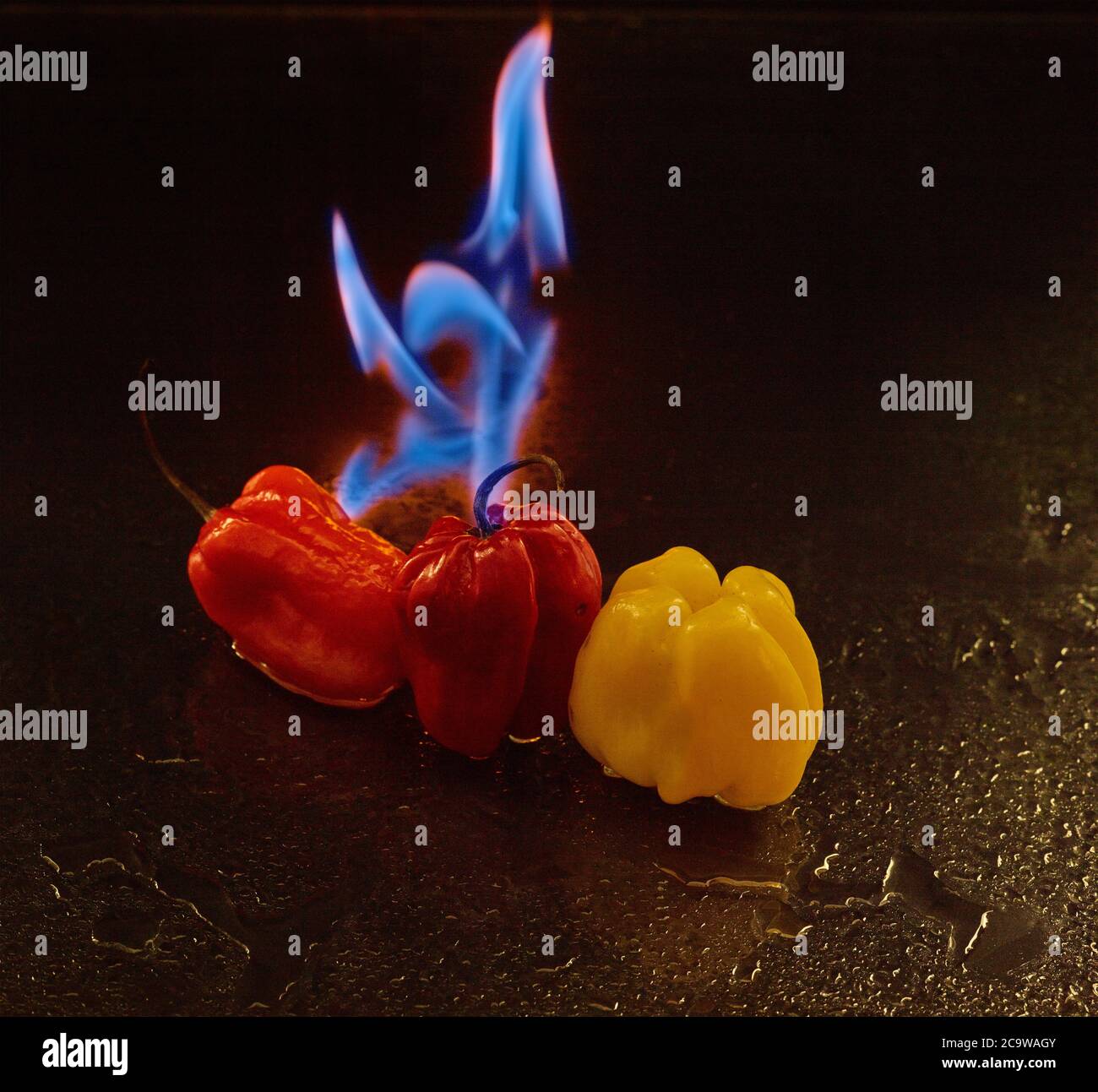 Scotch bonnet water droplets and flames food still life portrait Stock ...